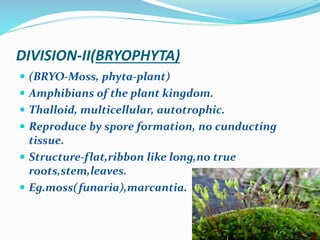 CLASSIFICATION OF PLANT KINGDOM1.pptx By Prof. IP Sahu | PPT