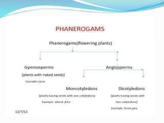 CLASSIFICATION OF PLANT KINGDOM1.pptx By Prof. IP Sahu | PPT