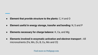 Classification of Plant Nutrients: Macro, Micro & Beneficial Elements ...