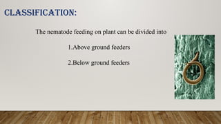 CLASSIFICATION OF PLANT PRASITIC NEMATODES BASED ON THEIR FEEDING HABIT ...