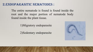 CLASSIFICATION OF PLANT PRASITIC NEMATODES BASED ON THEIR FEEDING HABIT ...