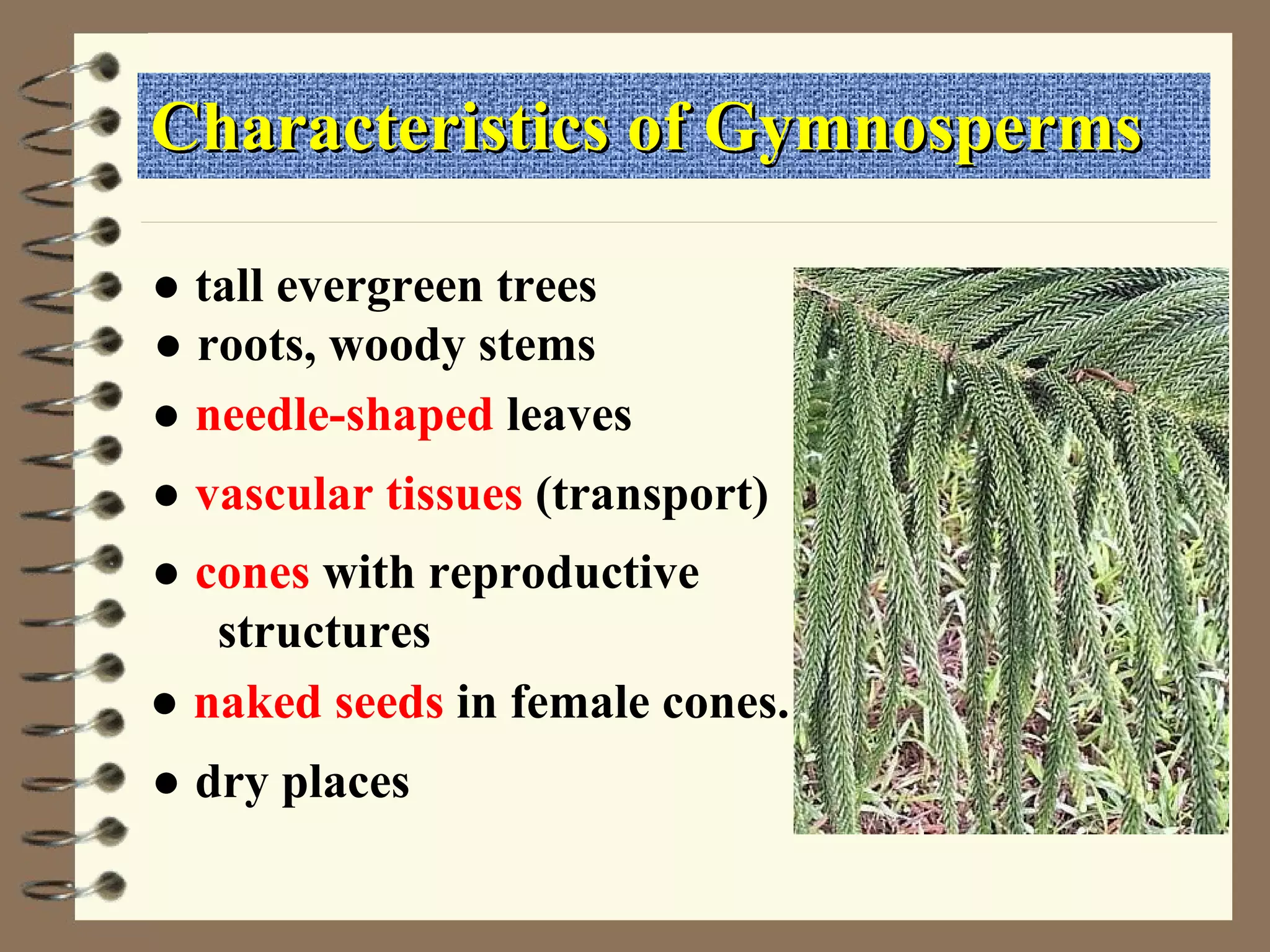 Classification of plants | PPT