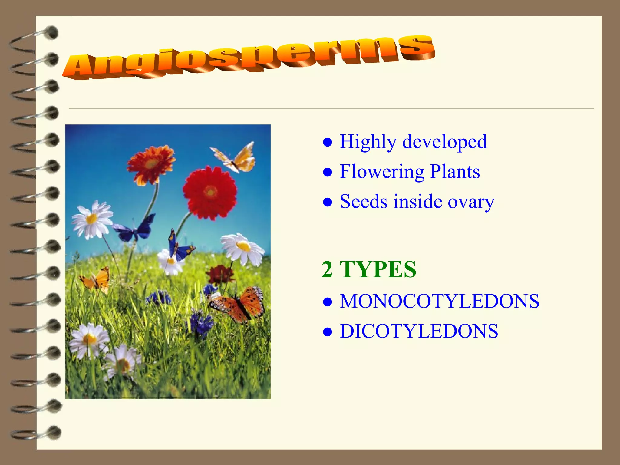 Classification of plants | PPT