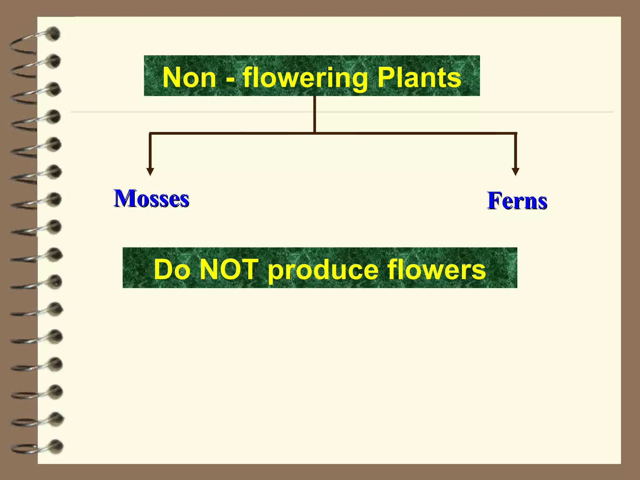 Classification of plants | PPT