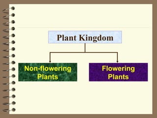 Classification of plants | PPT