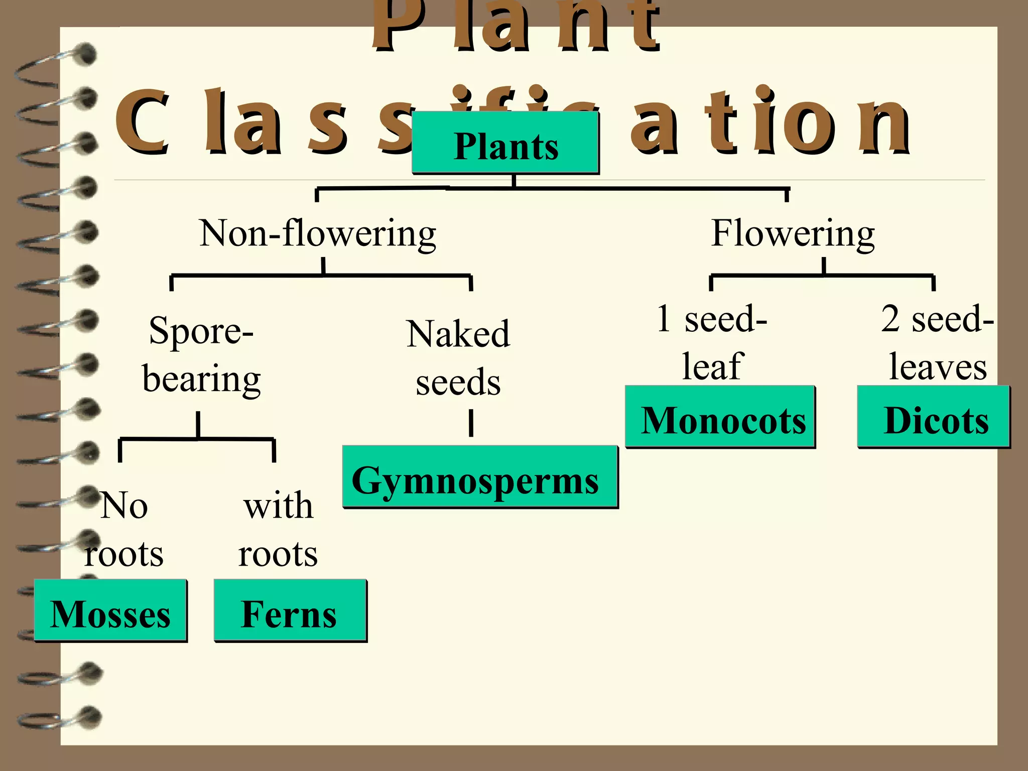 Classification of plants | PPT