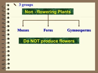 Classification of plants | PPT