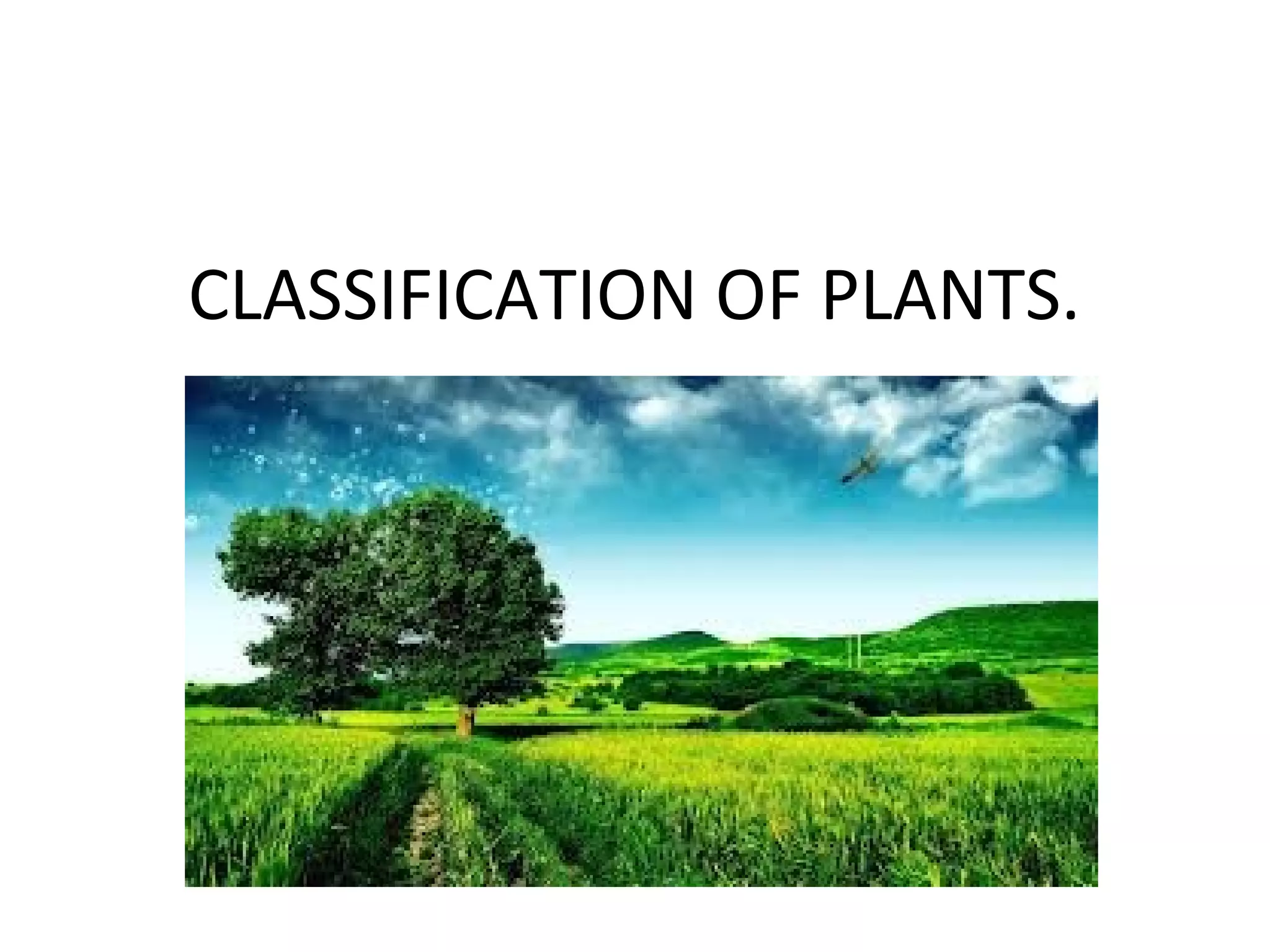 Classification of plants | PPT | Gardening | Home & Garden