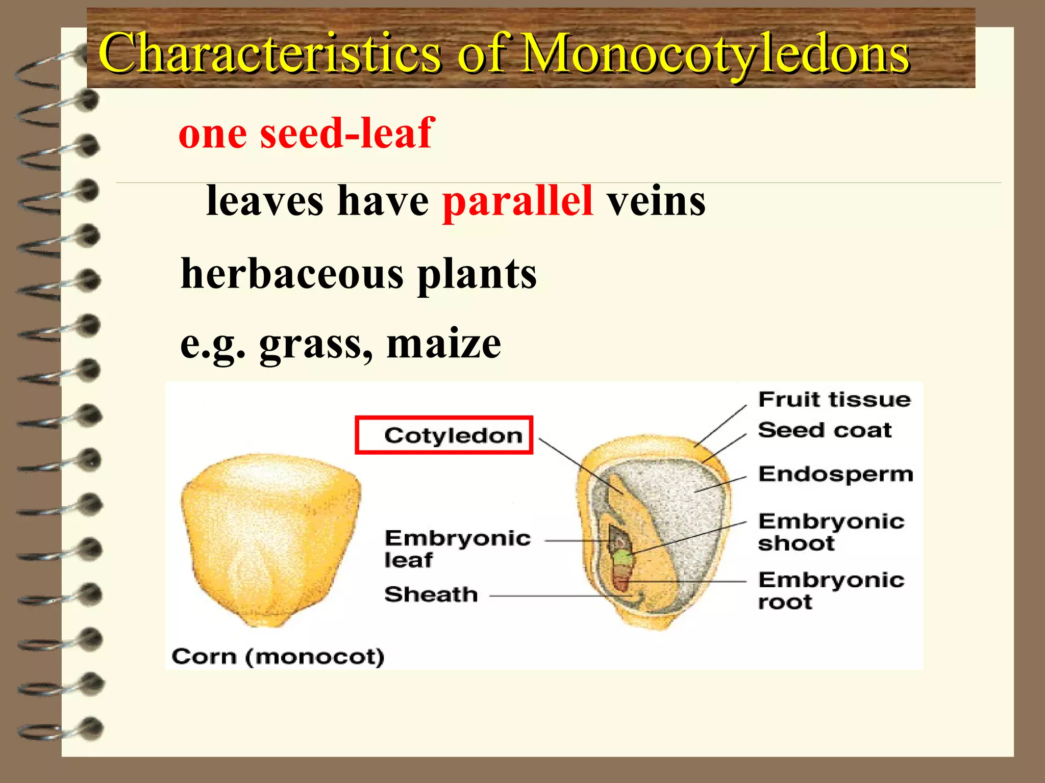 Classification of plants | PPT