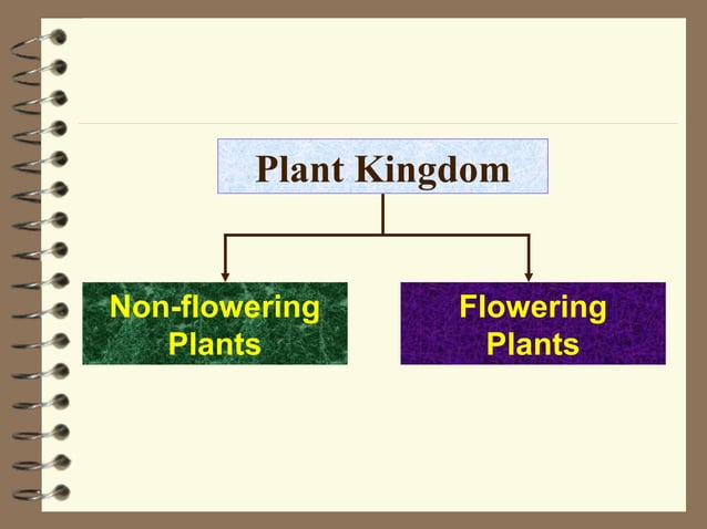 Classification of plants | PPT | Gardening | Home & Garden