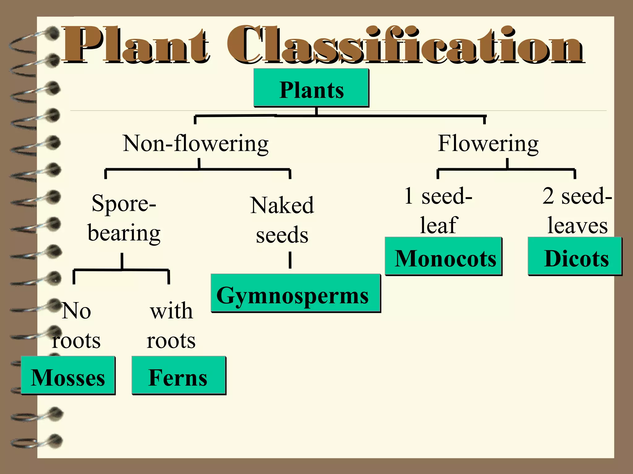 Classification of plants | PPT