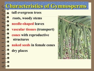 Classification of plants | PPT