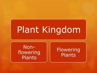 Classification Of Plants Flowering And Nonflowering