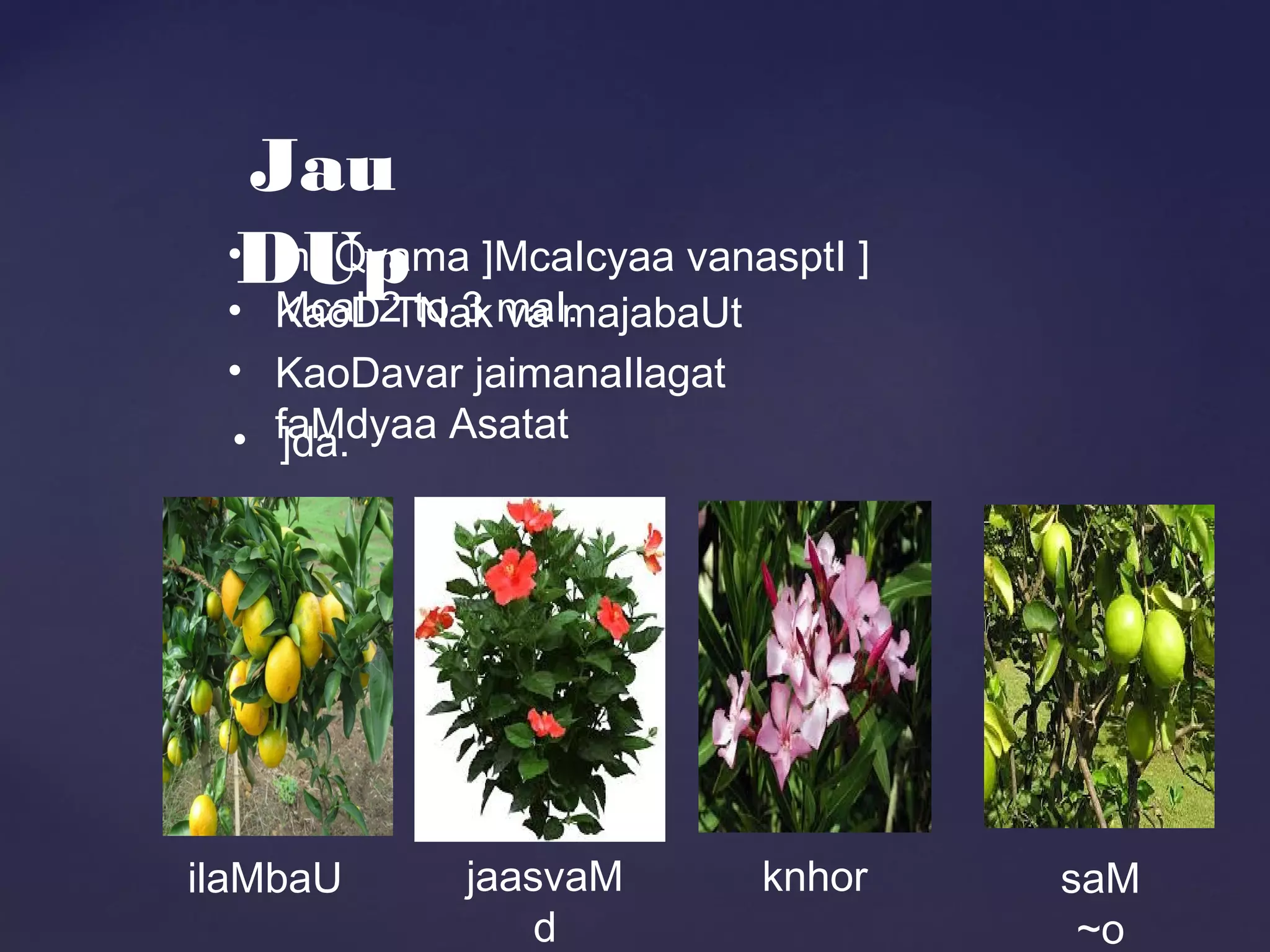 Classification of plants | PPT