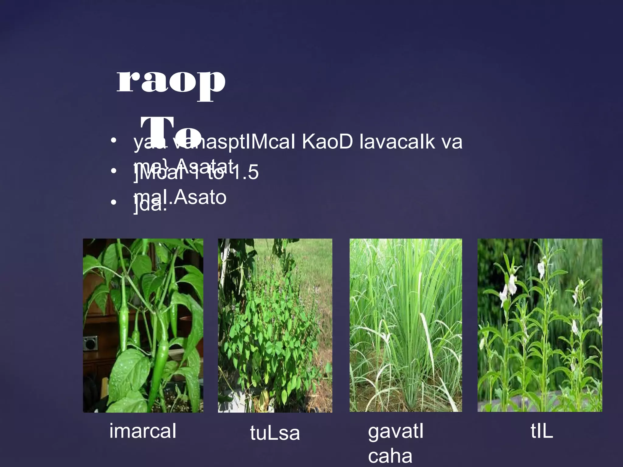 Classification of plants | PPT