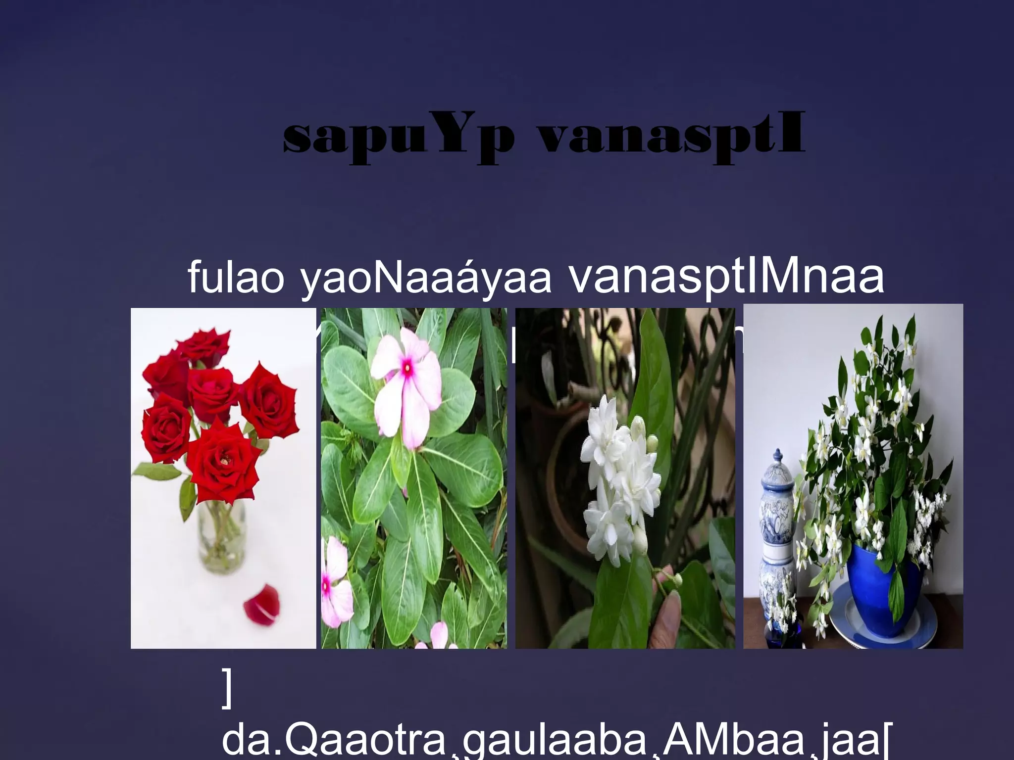 Classification of plants | PPT