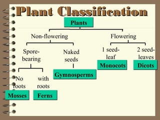 Biologi Tanaman : Classification of plants (Unsoed) Smt 1 | PPT