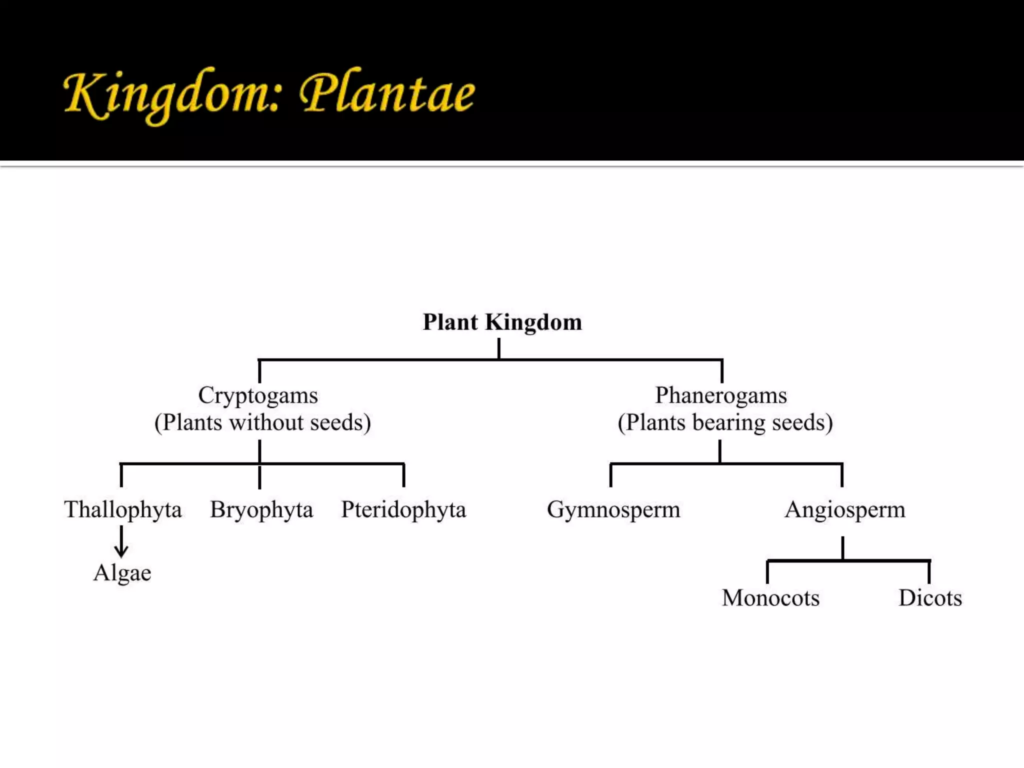 Classification of plants | PDF