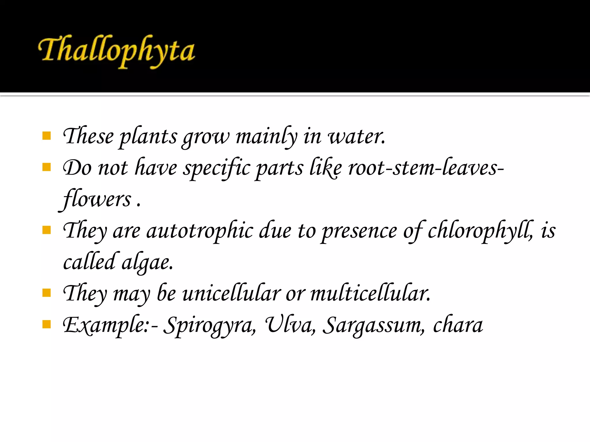 Classification of plants | PDF