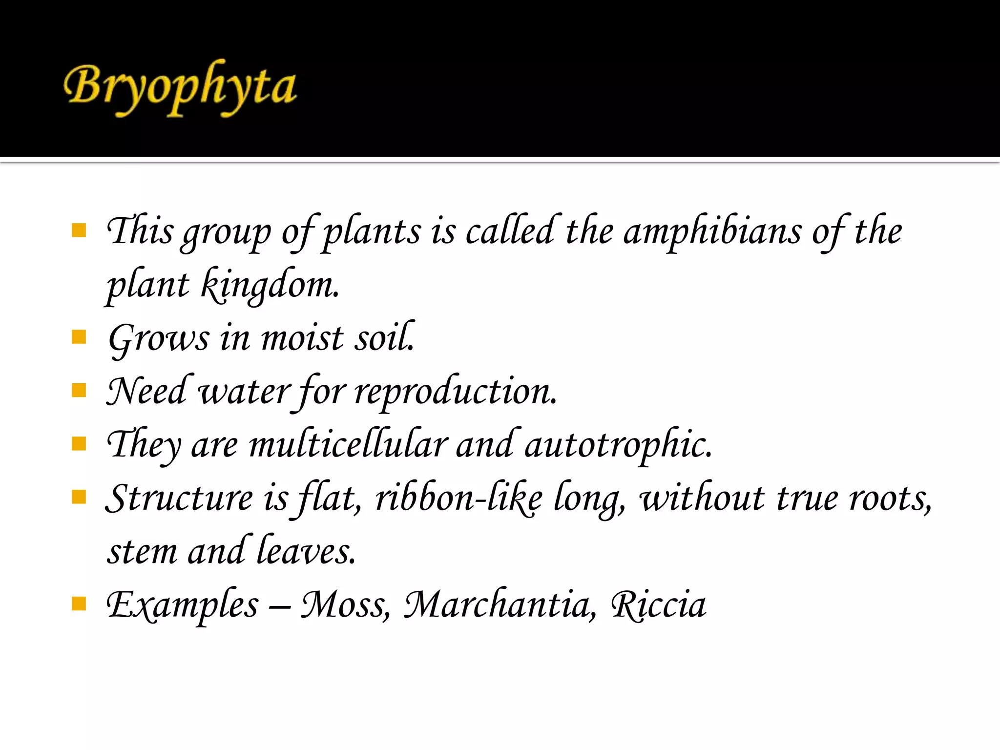 Classification of plants | PDF