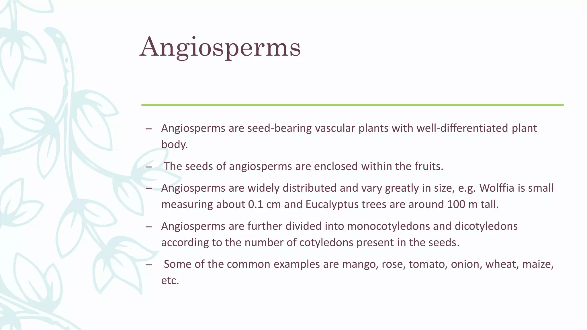 Classification of plants | PDF
