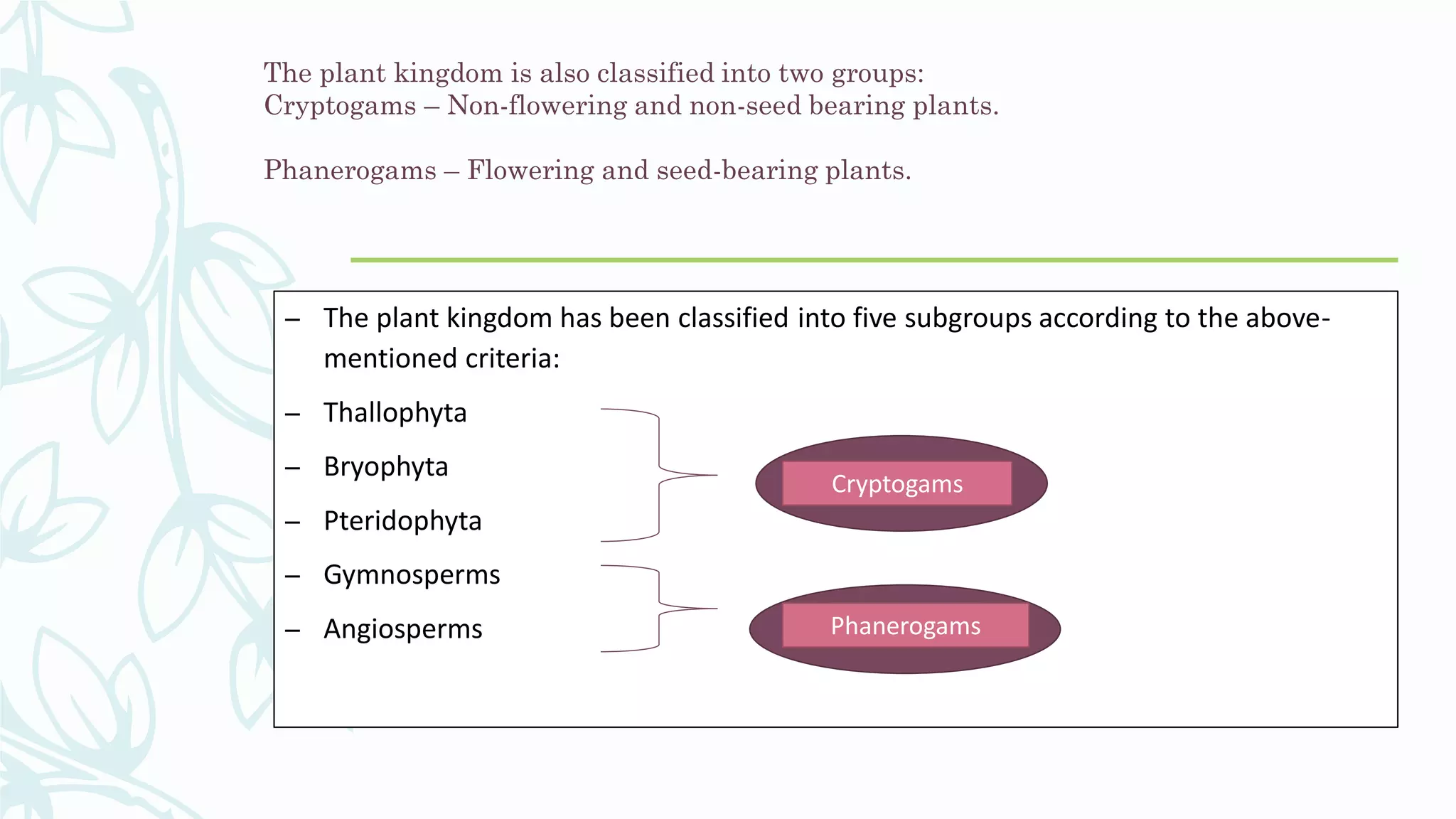 Classification of plants | PDF