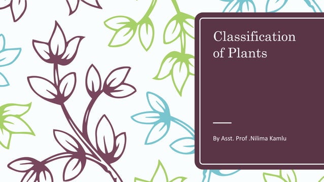 Classification of plants | PDF | Gardening | Home & Garden