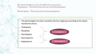 Classification of plants | PDF