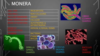 Classification of plants.pptx