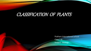 classification of plants.pptx
