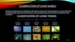 classification of plants.pptx