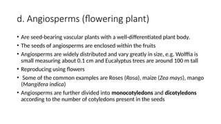 CLASSIFICATION OF PLaaaaaaaaaaaANTS.pptx