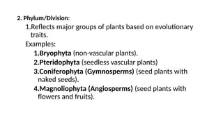 CLASSIFICATION OF PLaaaaaaaaaaaANTS.pptx