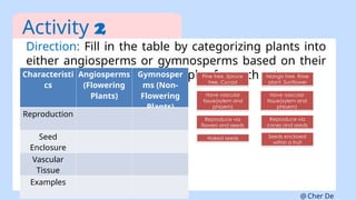 Classification of Plants EXAMPLES and S | PPTX