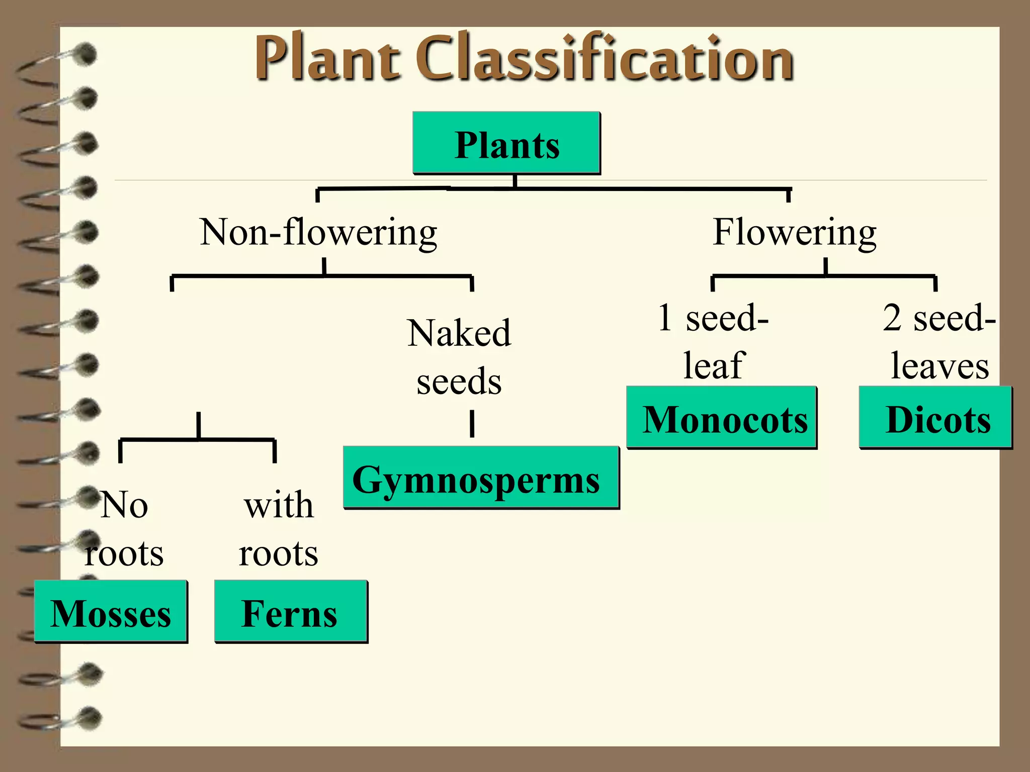 Classification of plants 2nd powerpoint [Autosaved].ppt