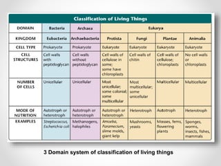 Classification Of Plants And Animals