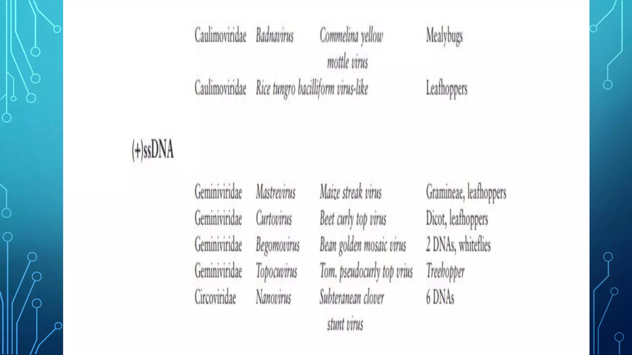 Classification of plant viruses | PDF