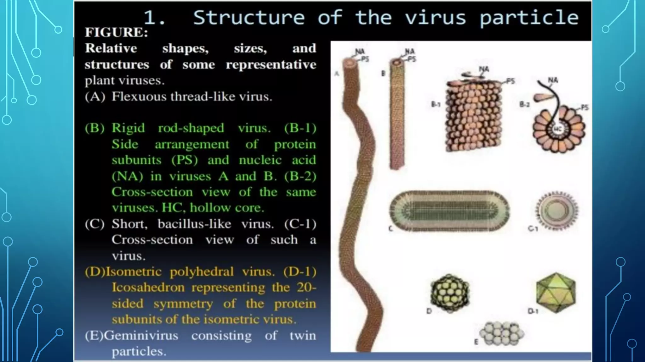 Classification of plant viruses | PDF