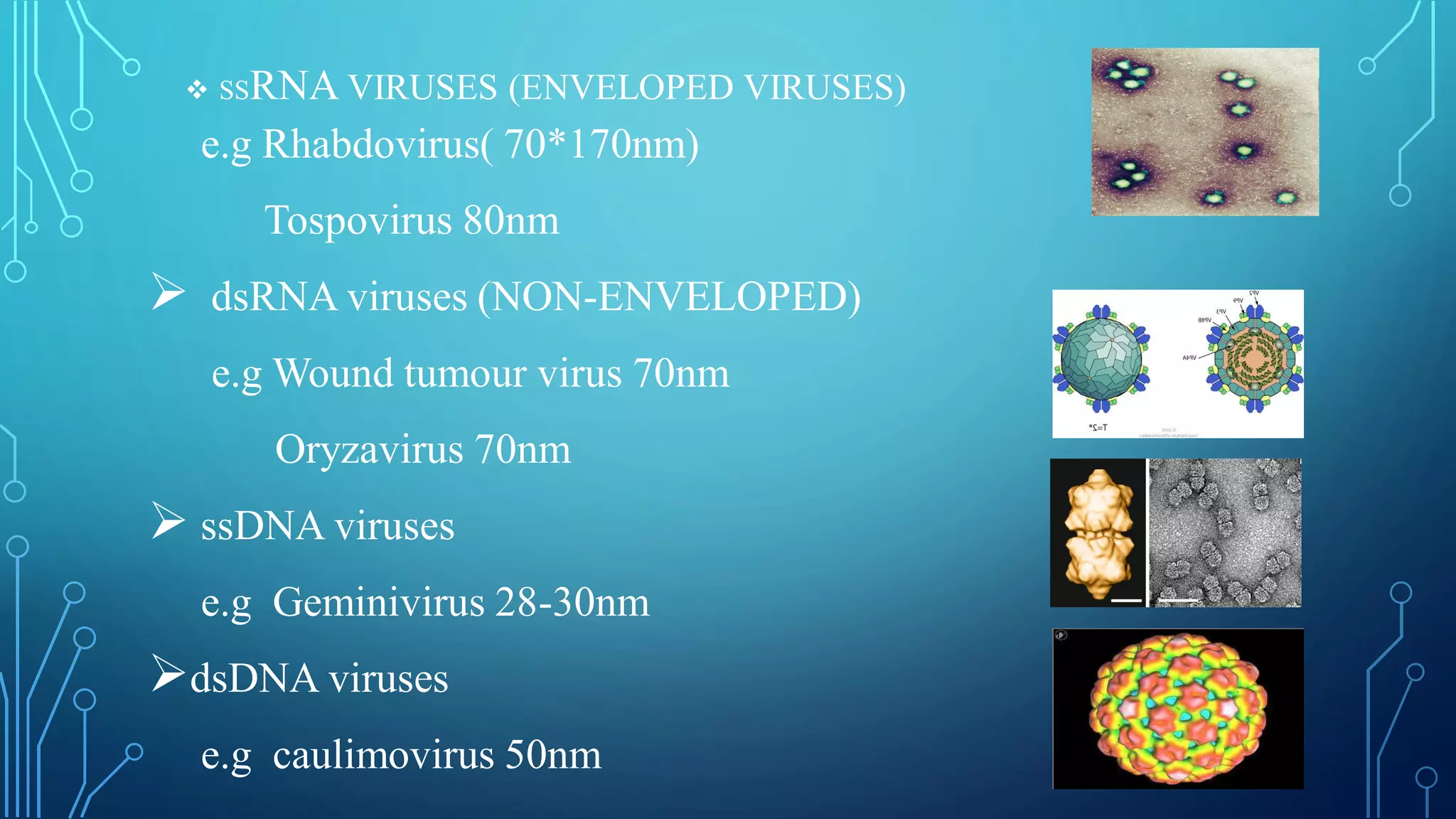 Classification of plant viruses | PDF