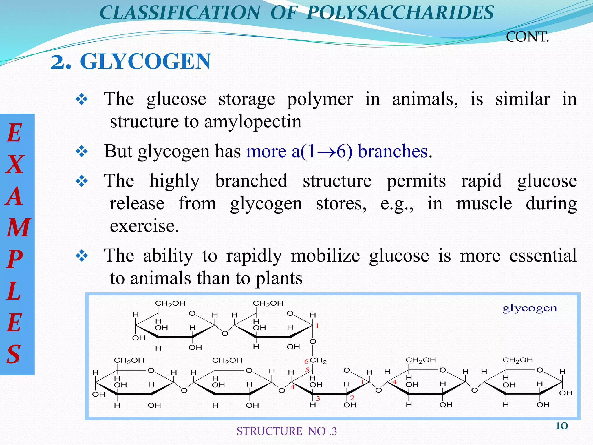 Classification of polysaccharides, gluconeogenesis and glucogenolysis ...