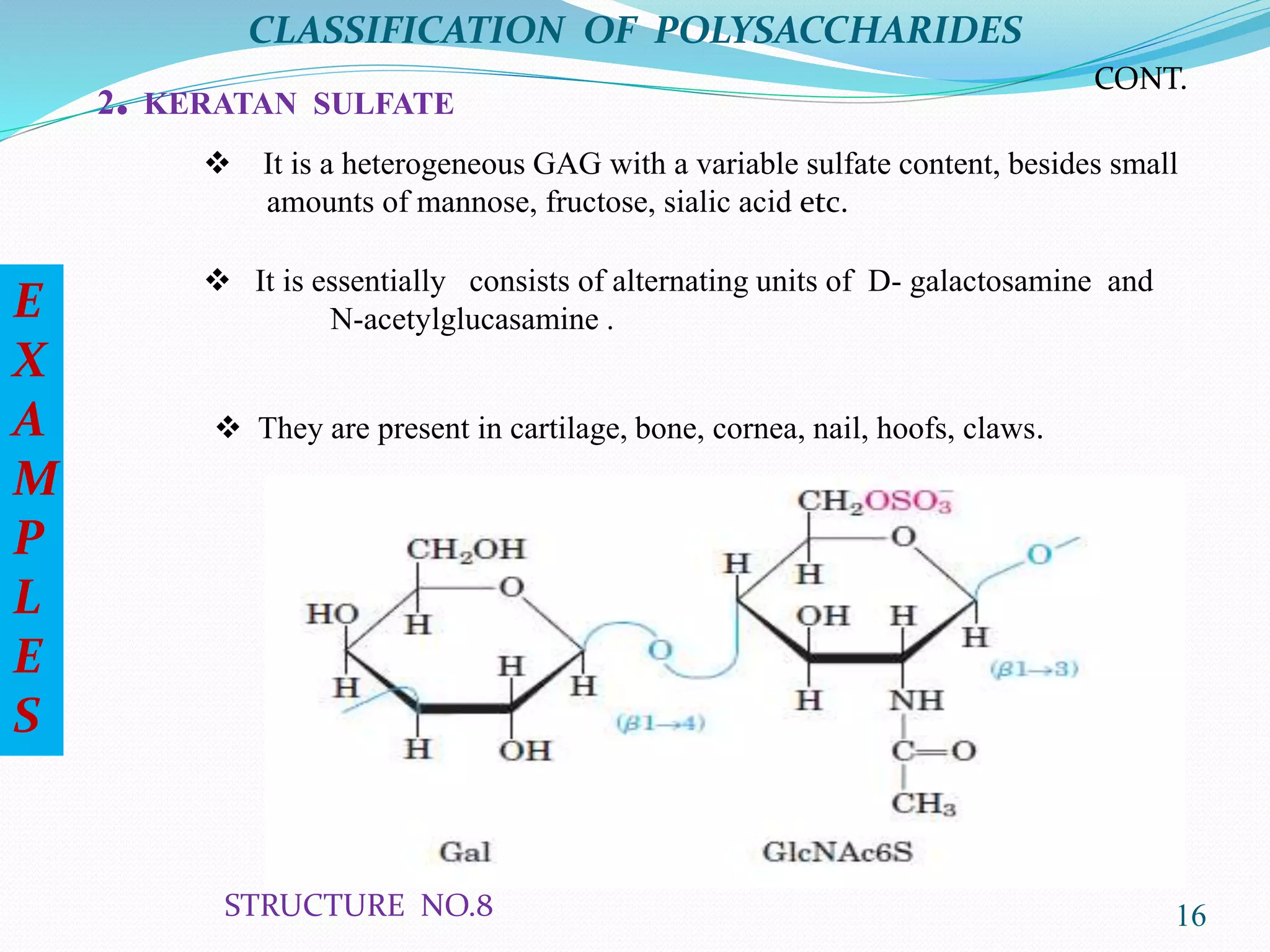 Classification of polysaccharides, gluconeogenesis and glucogenolysis. | PPTX