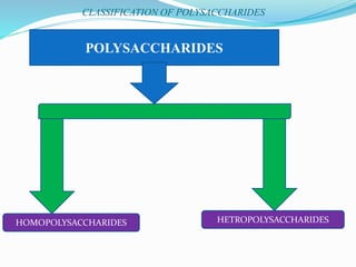 Classification of polysaccharides, gluconeogenesis and glucogenolysis ...
