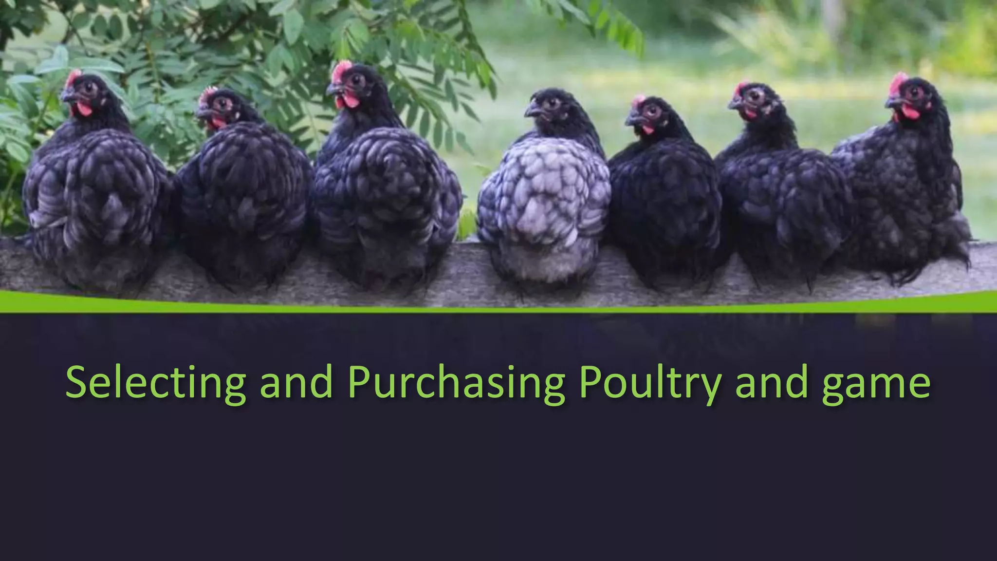 classification of poultry.pptx