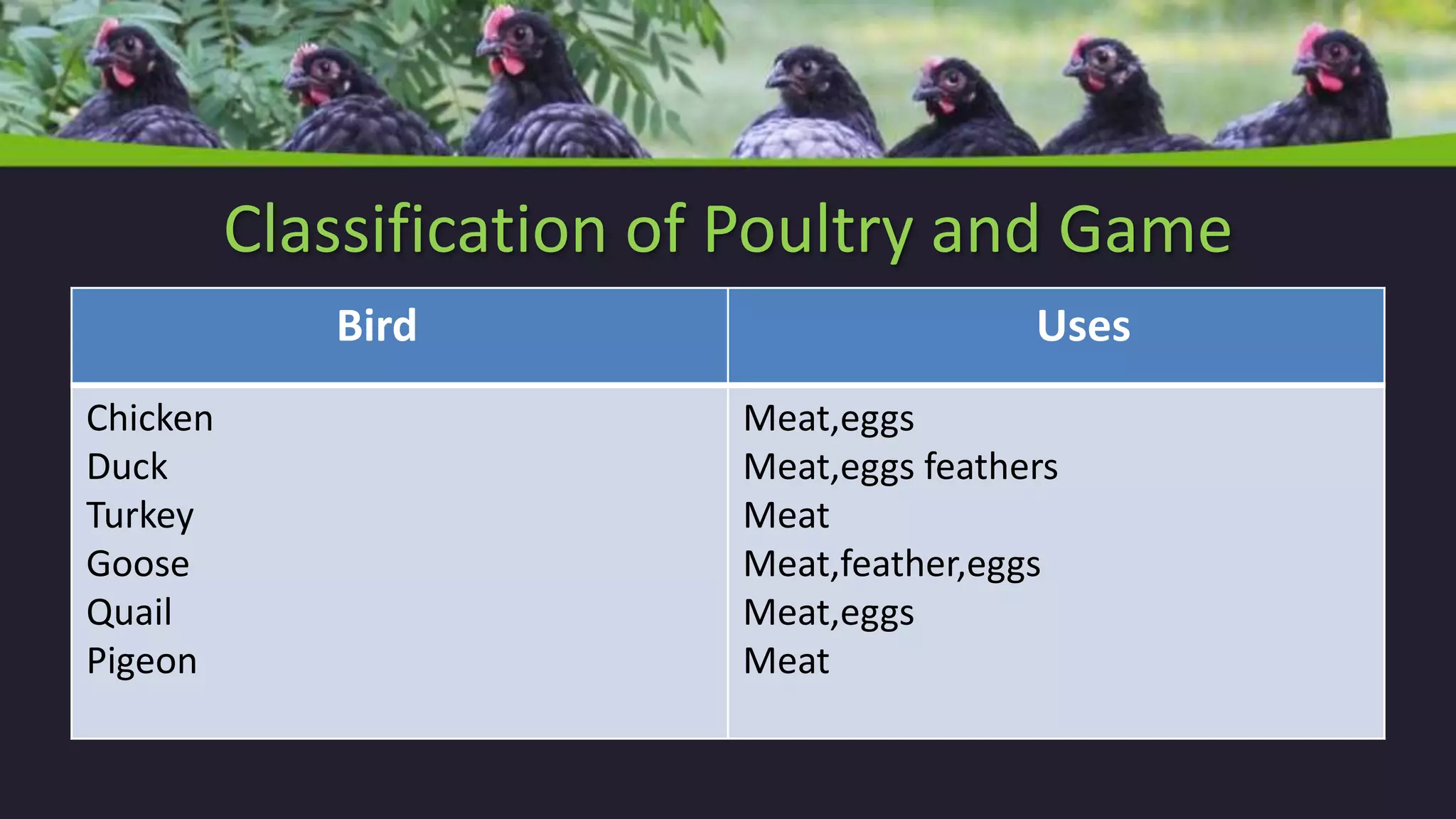 classification of poultry.pptx