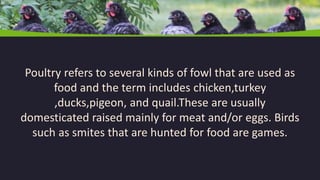 classification of poultry.pptx