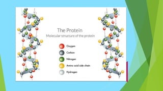 Classification of protein | PPTX