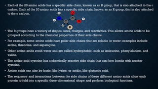 Classification of Protein.pdf