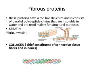 Classification of protein .pptx