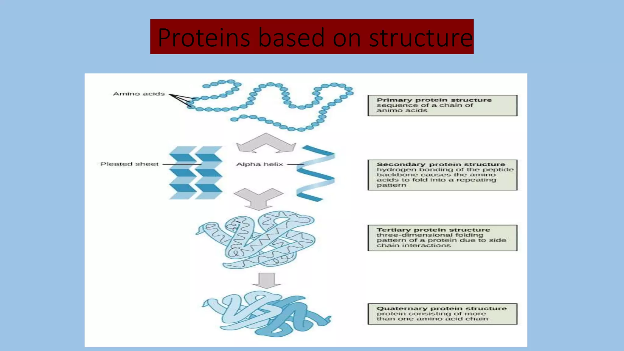 Classification of proteins | PPTX