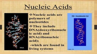 Classification of proteins, nucleic acid.pptx